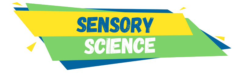 Sensory Science – Wonderlab Co